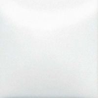 Duncan Translucent and Opaque Envision glazes for ceramic bisque